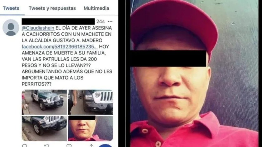 "El Charro" es condenado a 4 años de cárcel por matar con hacha a cachorros | Notigram