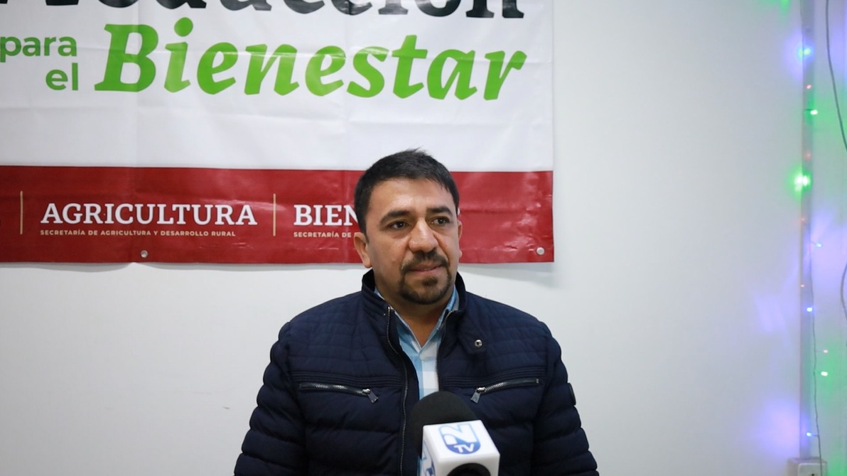 Producción para el Bienestar, estos son los 3 cultivos que puedes ...
