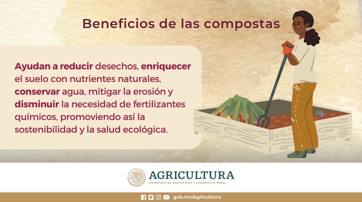 ¿Qué es la composta y para qué sirve? | Notigram