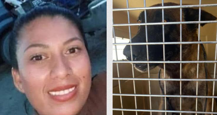 Mujer muere tras recibir más de 100 mordidas por dos perros | Notigram