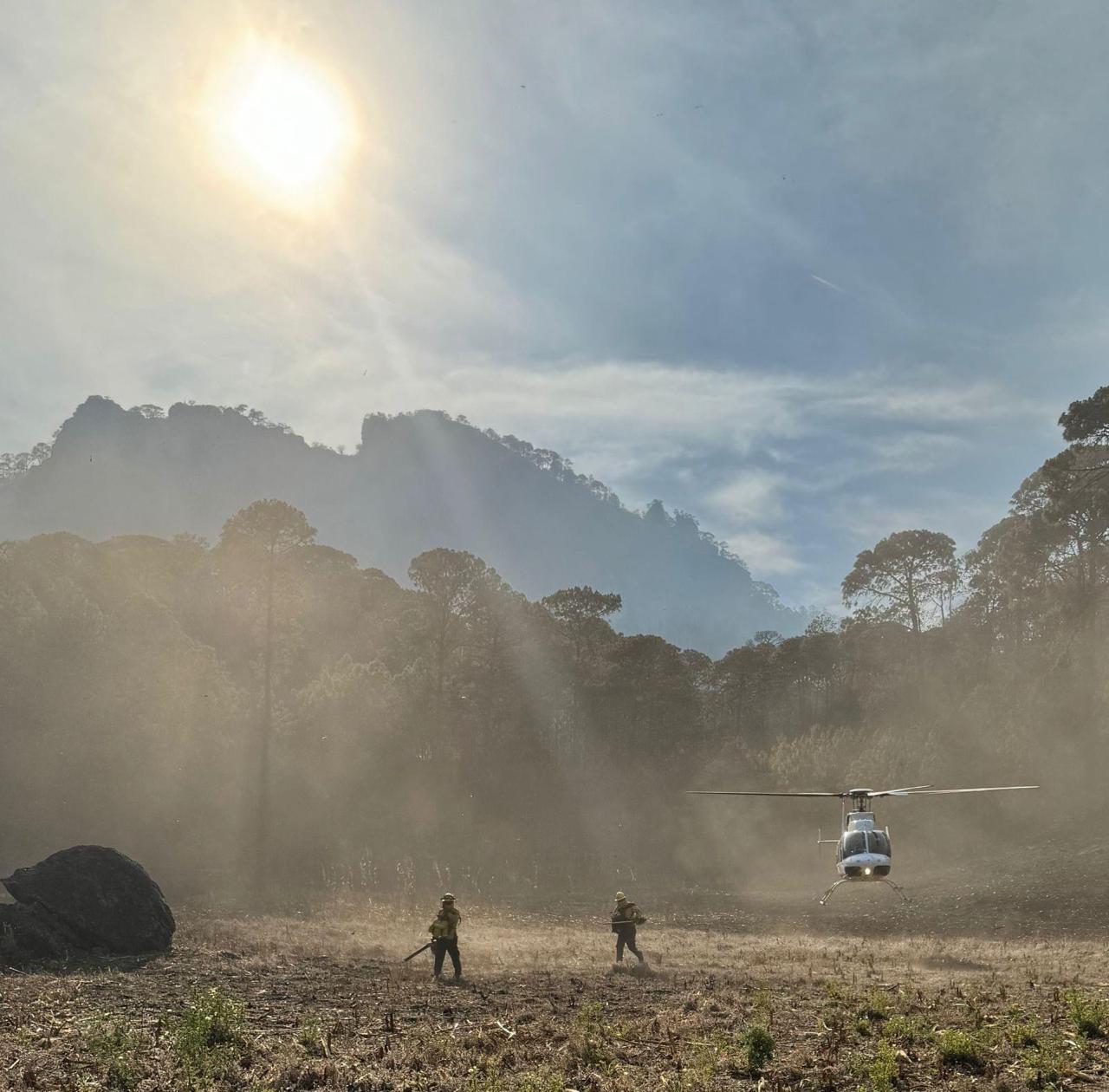 La sierra de Durango estuvo ardiendo durante seis meses; fueron 420 ...