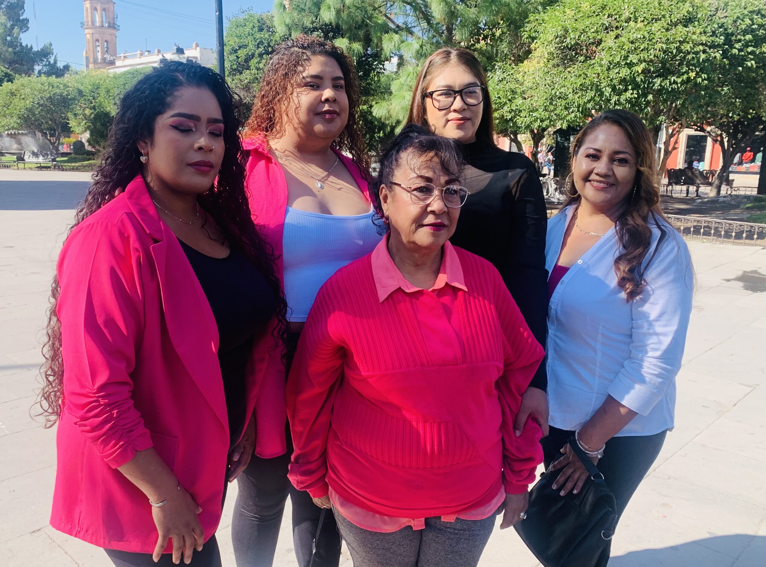 “50 adornos alusivos al mes rosa, son colocados en la ciudad, mujeres ...