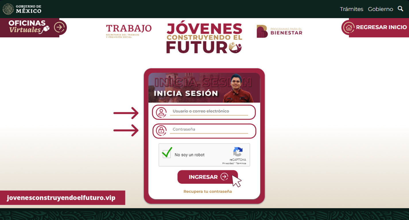 Se satura la plataforma de Jóvenes Construyendo el Futuro; afecta registros | Notigram
