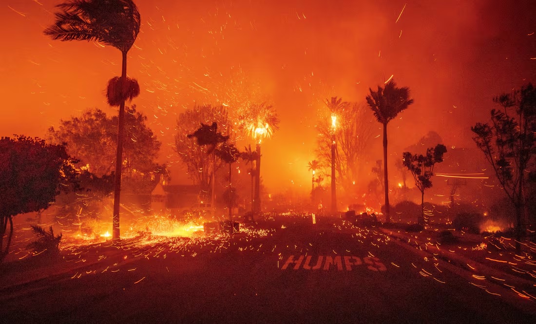 Cancillería mexicana brinda apoyo a mexicanos afectados por incendios en Los Ángeles | Notigram