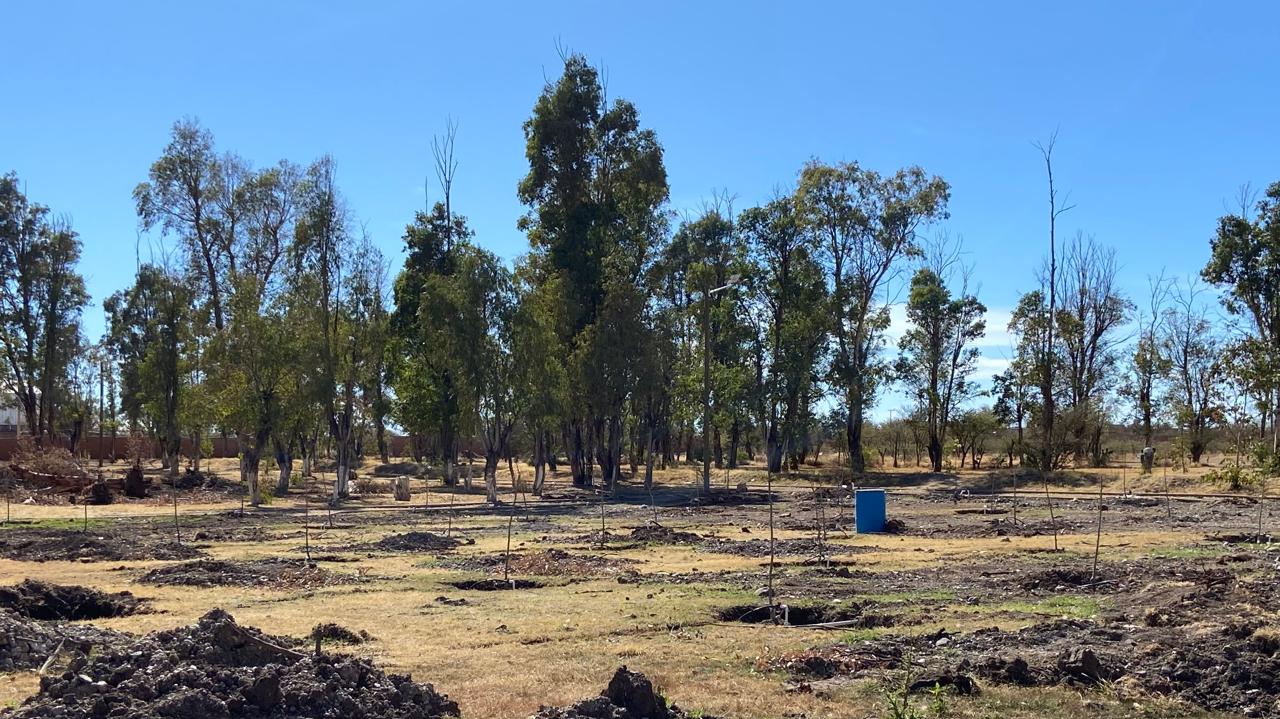 Se inicia proyecto autosustentable en el Parque San José | Notigram