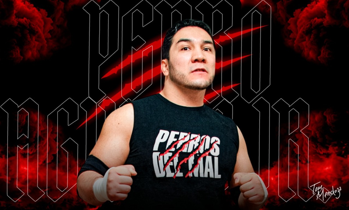 Se cumplen 10 años de la inesperada muerte del Hijo del Perro Aguayo ...