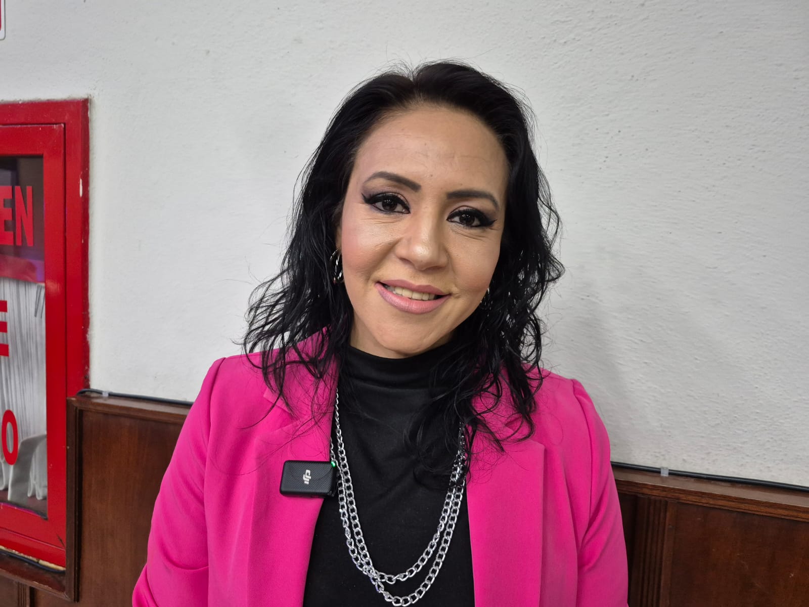 Brecha salarial; la diputada Mayra Rodríguez presenta iniciativa para ...