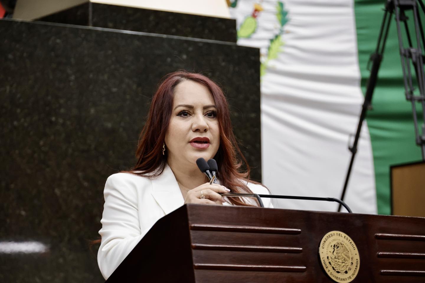 Centros de rehabilitación están llenos de jóvenes en Durango: diputada ...