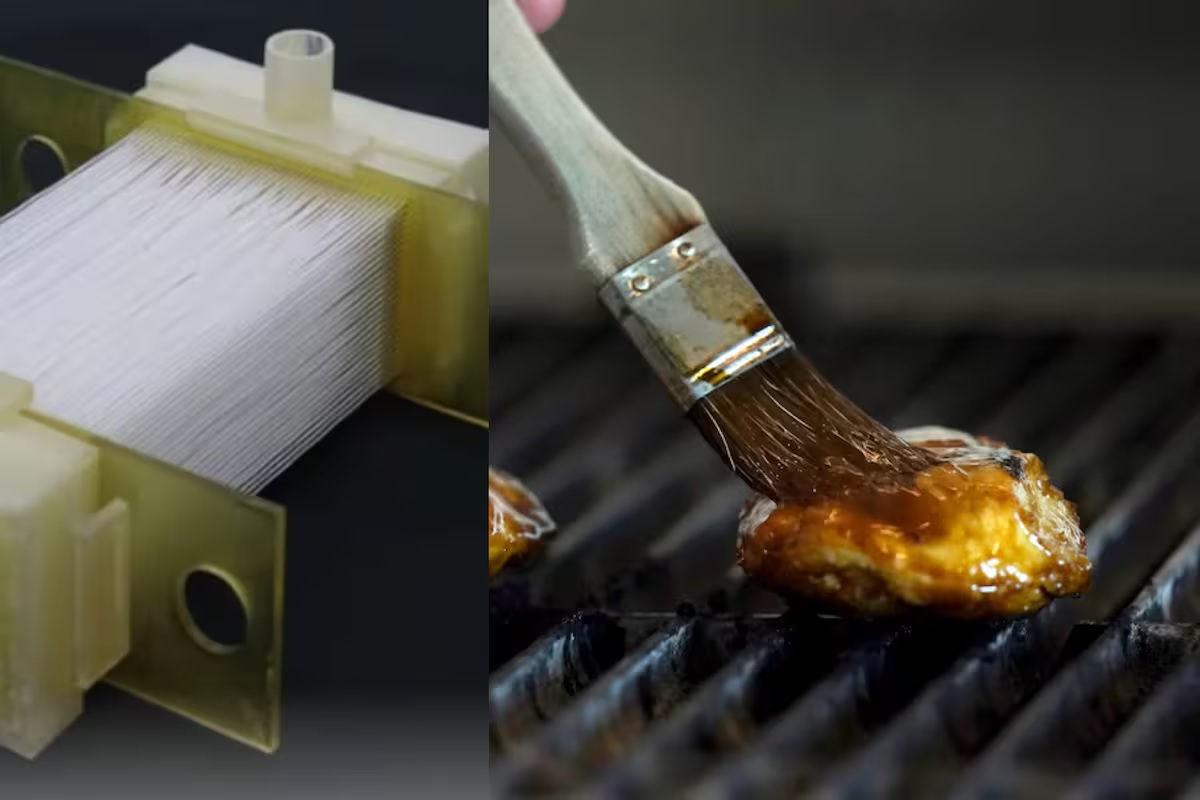 Japón crea el primer nugget de pollo cultivado en laboratorio con ...