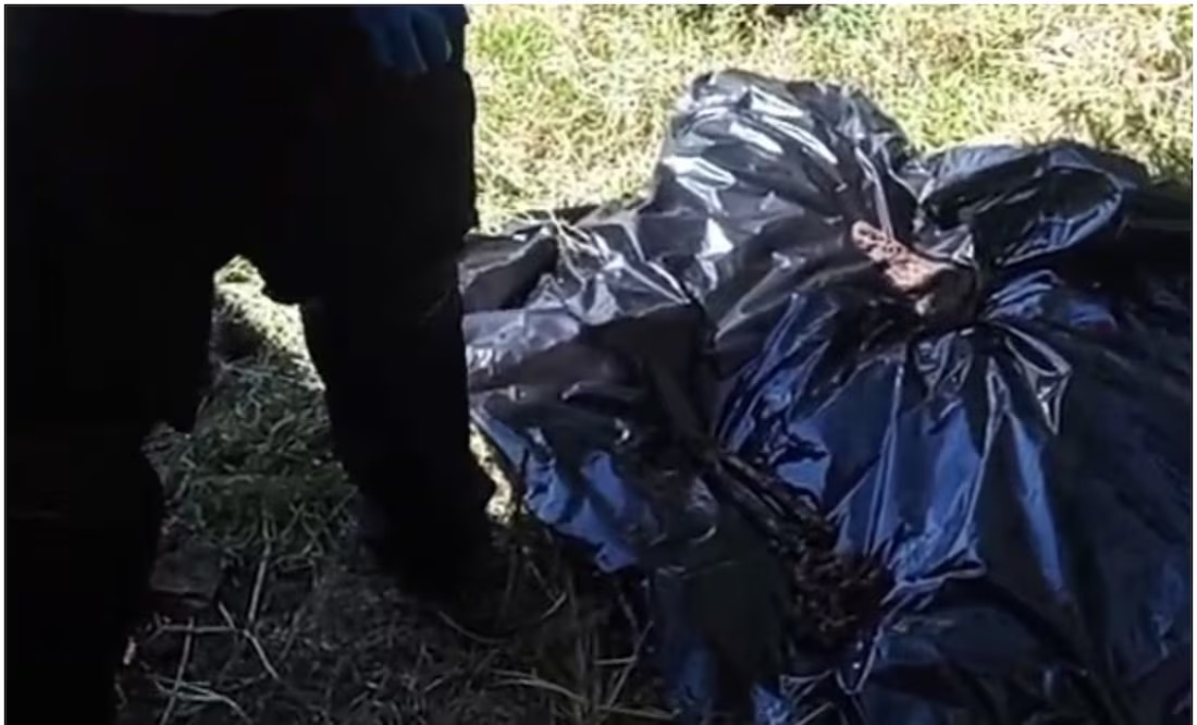 Hallan más de 15 cuerpos en fosa clandestina dentro de vivienda en Irapuato | Notigram