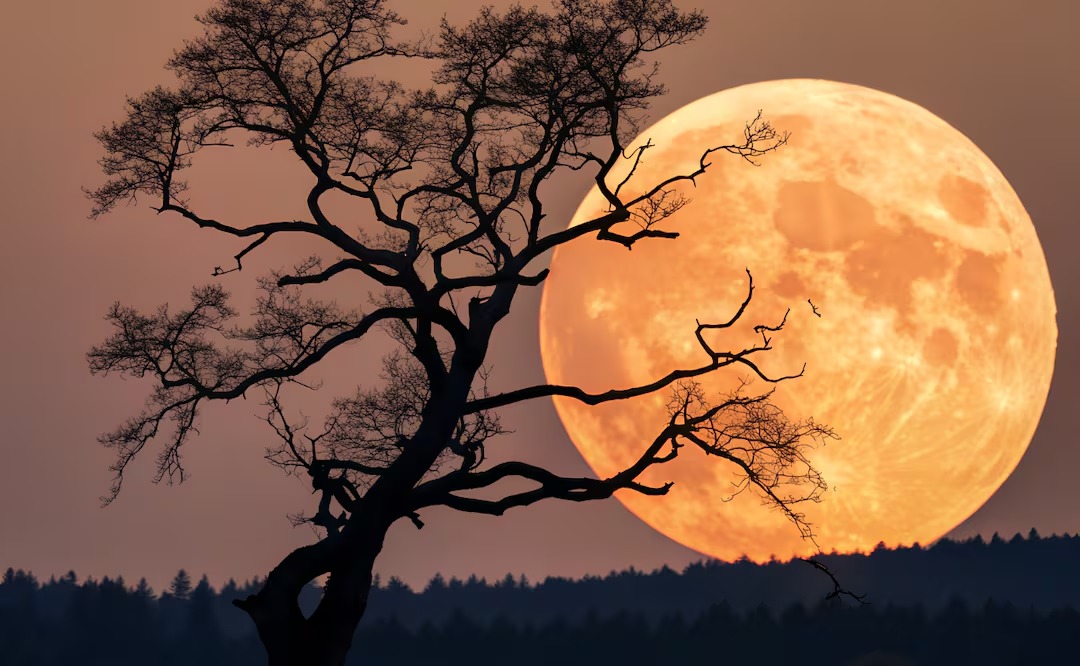 Científicos revelan el origen de las dos caras opuestas de la Luna ...