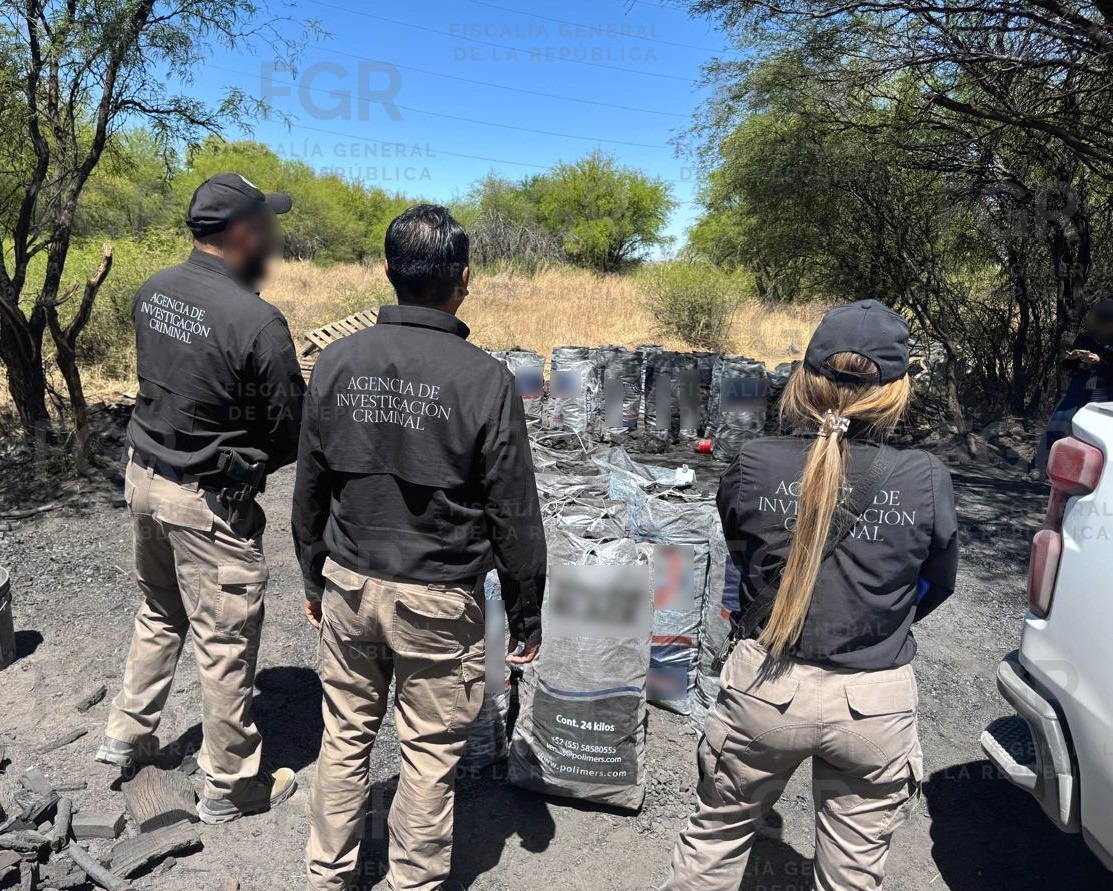 FGR ejecuta cateo para asegurar leña y carbón | Notigram